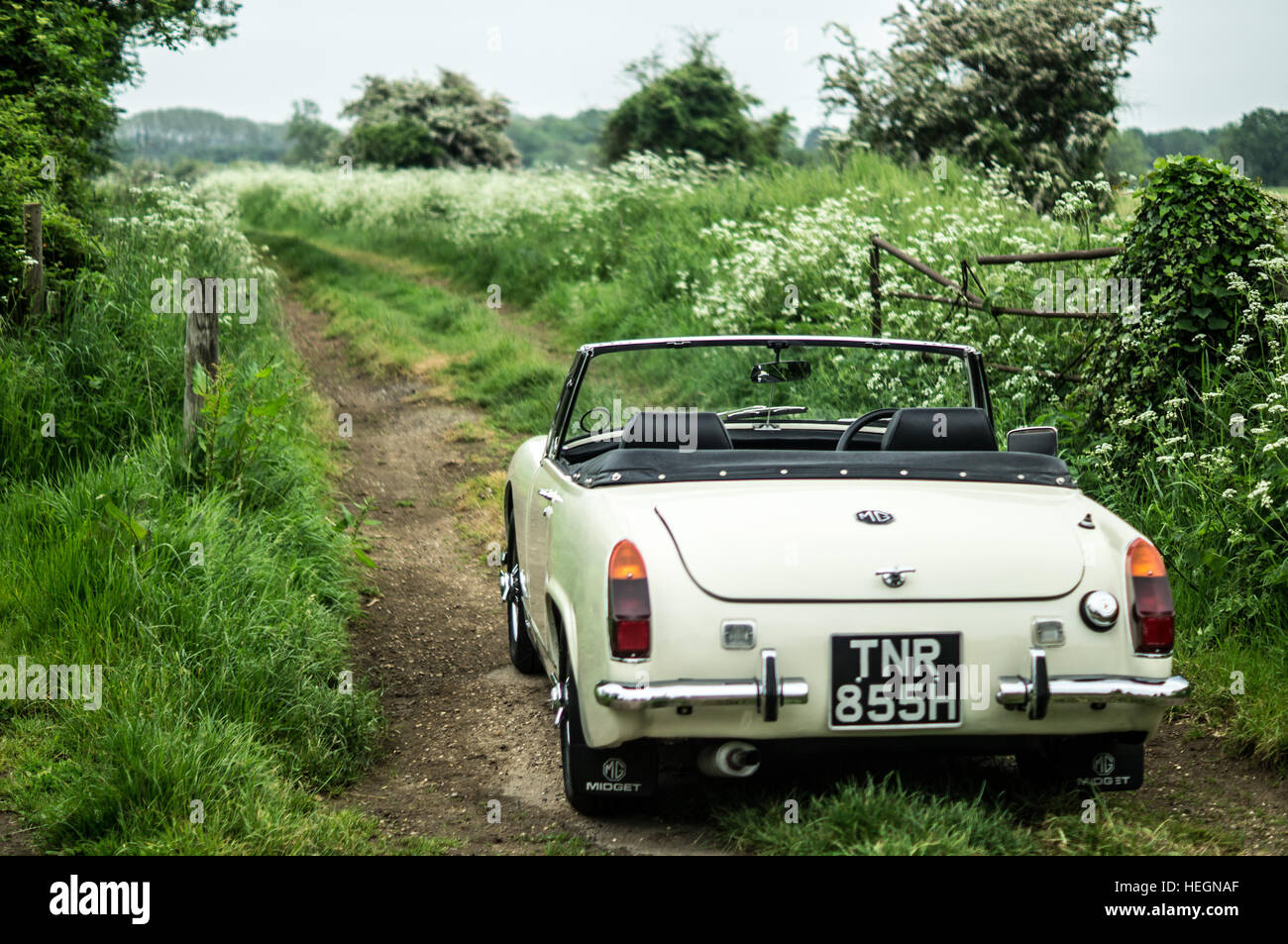 Rear shot hi-res stock photography and images - Alamy