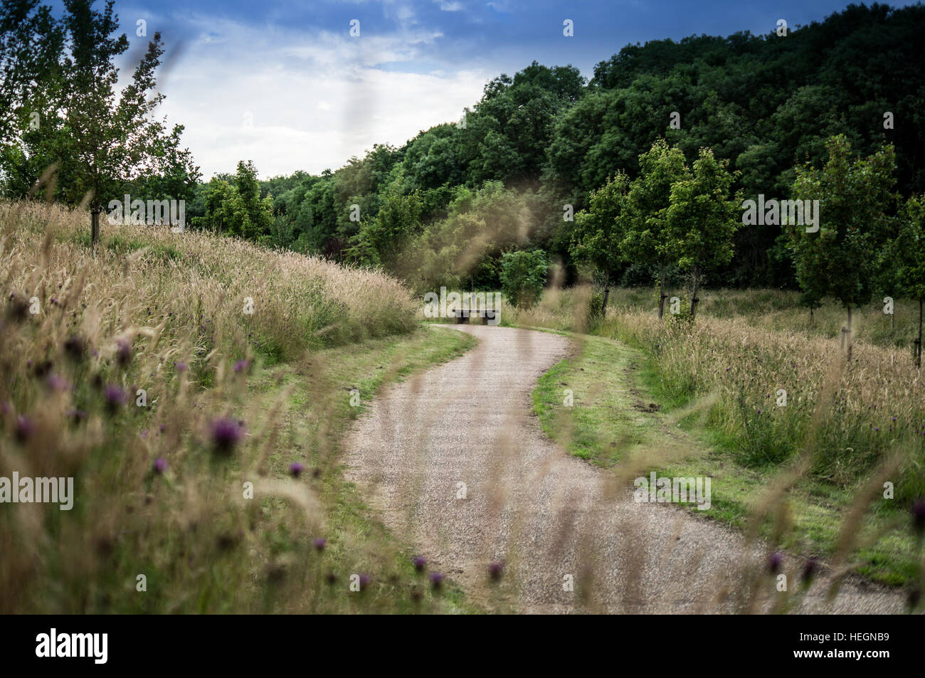 Path through long grass hi-res stock photography and images - Alamy