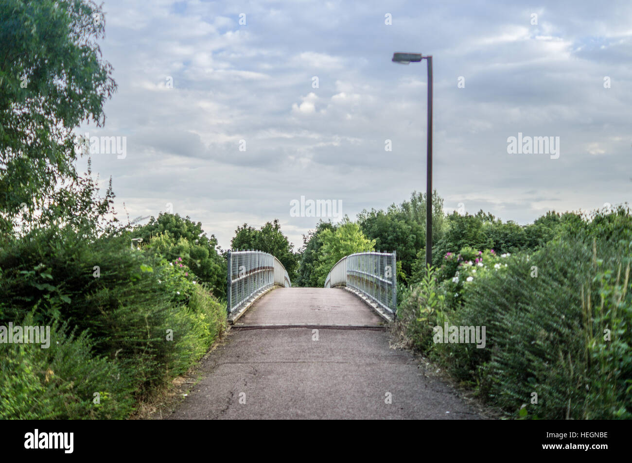 Urban landscape trees hi-res stock photography and images - Alamy