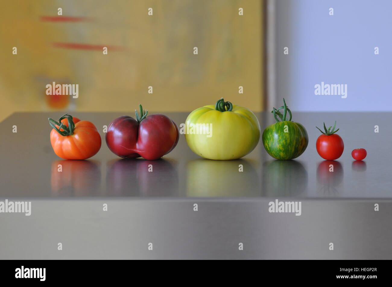 tomatoes various sizes and colors aligned Stock Photo - Alamy