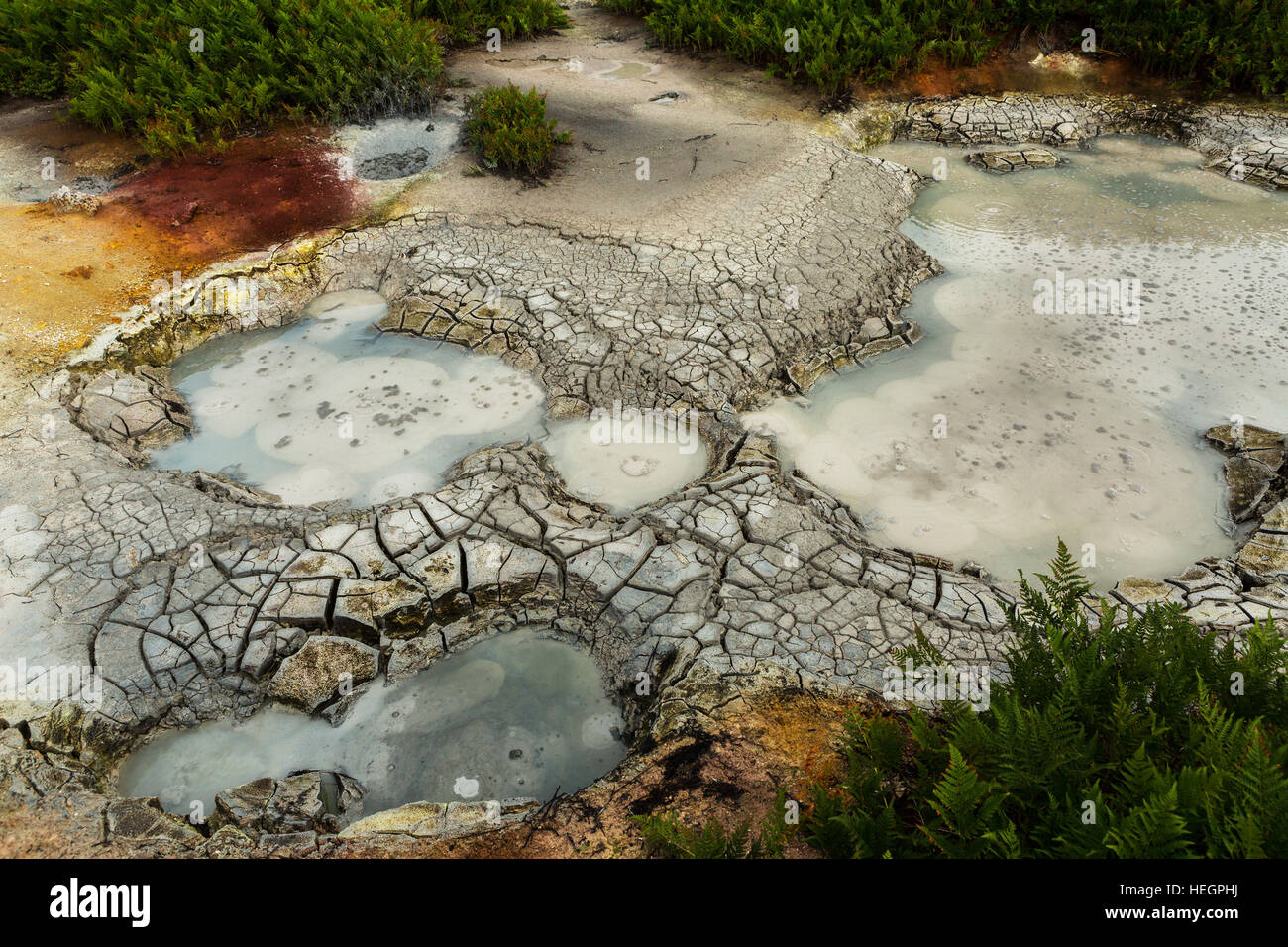 Mudpot in the Uzon Caldera. Kronotsky Nature Reserve Stock Photo - Alamy