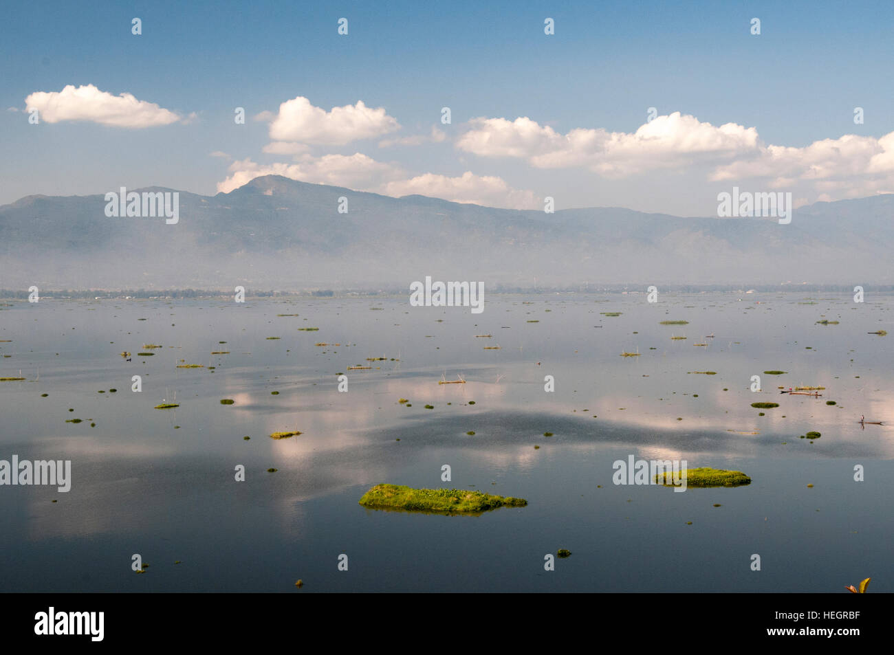Floating islands on Loktak Lake, Manipur, northeast India Stock Photo ...