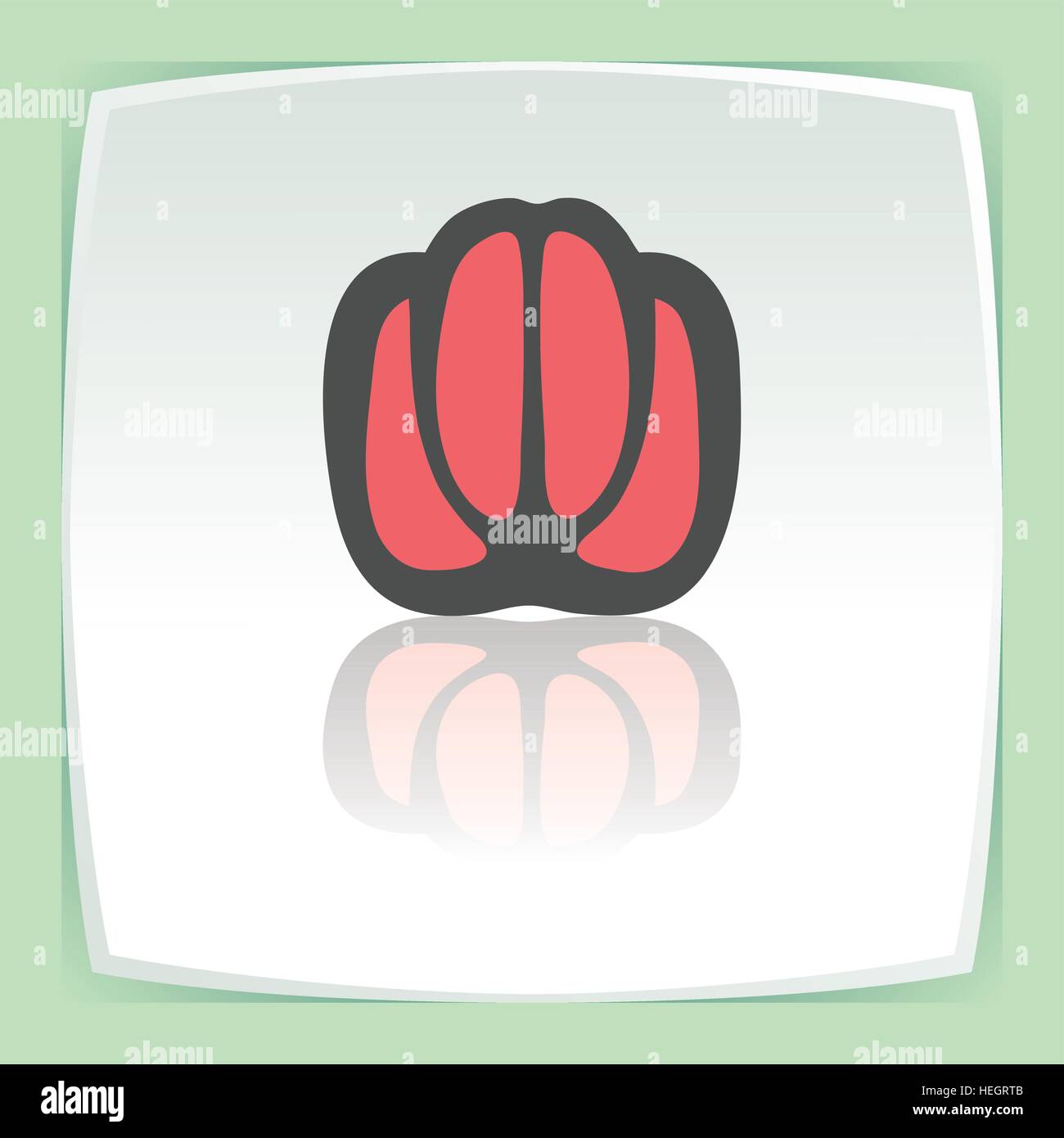 Vector outline red sweet pepper vegetable food icon on white flat ...