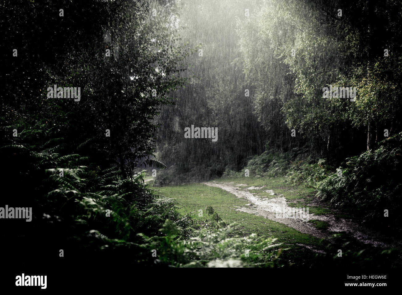Rain storm - Heavy downpour outdoors whilst walking Stock Photo - Alamy