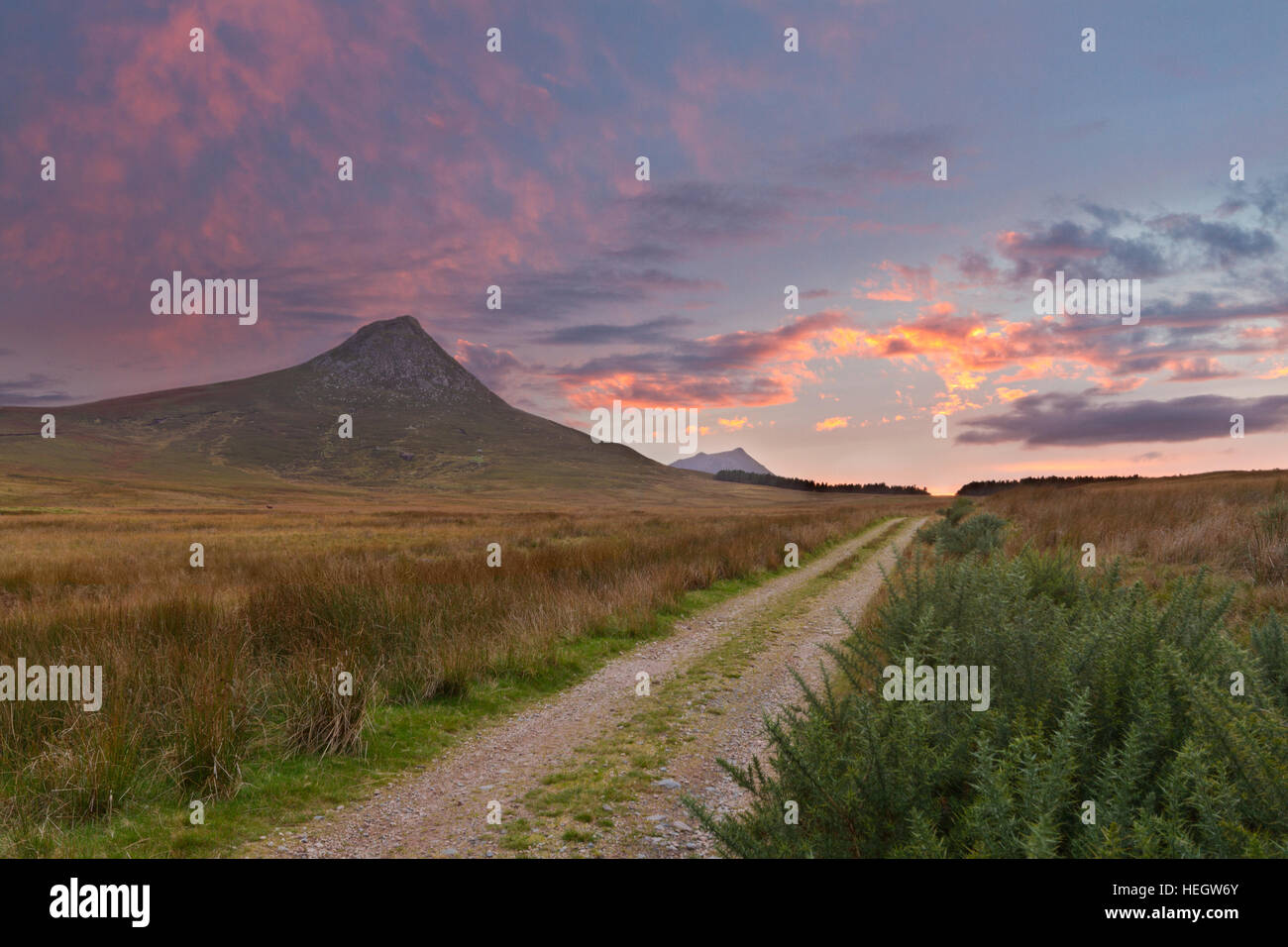 Wilderness trail in Caithness, Scotland Stock Photo - Alamy
