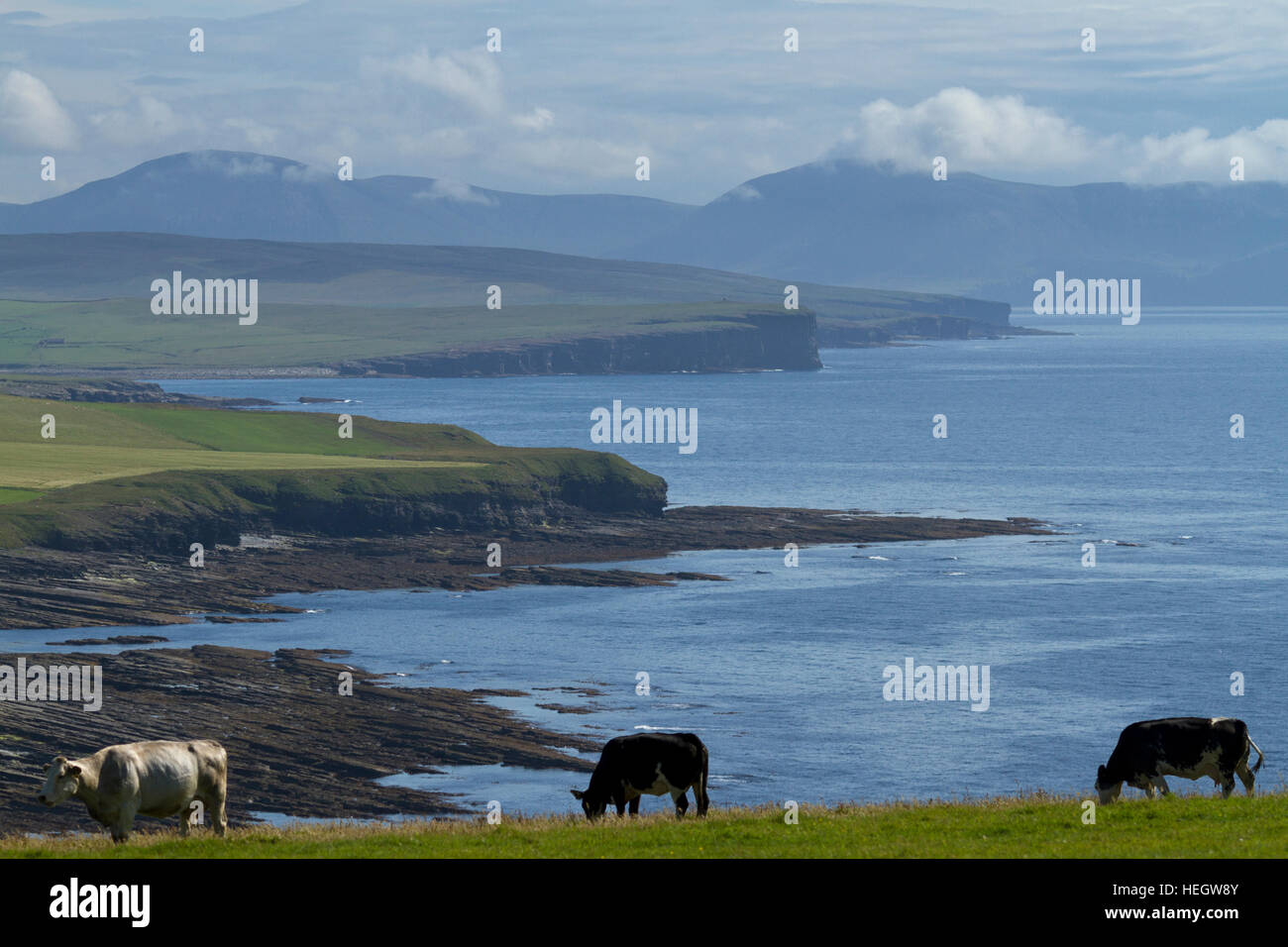 West Coast of Orkney Mainland Stock Photo - Alamy