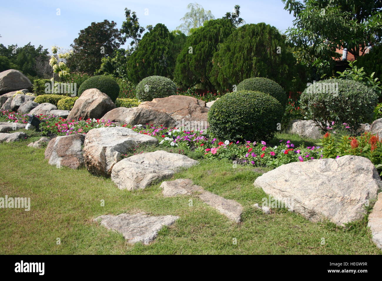 Lush flower with stone beautiful Stock Photo - Alamy