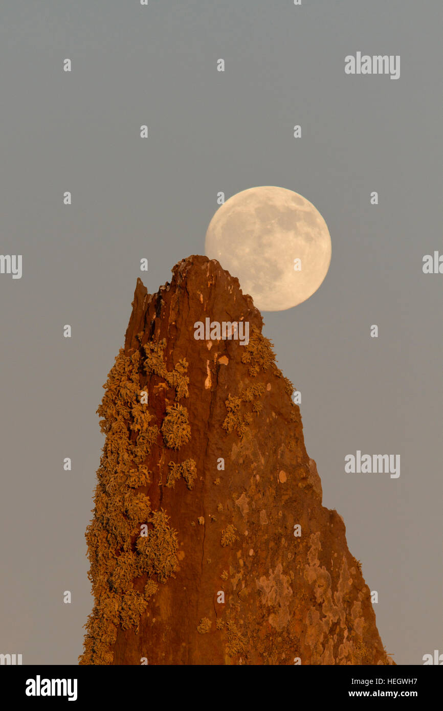Neolithic standing stone hi-res stock photography and images - Alamy