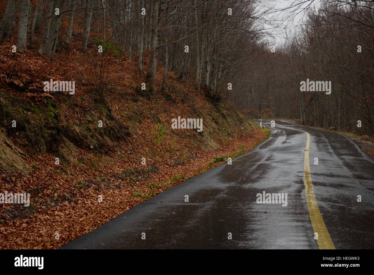 Rainy road in autumn hi-res stock photography and images - Alamy