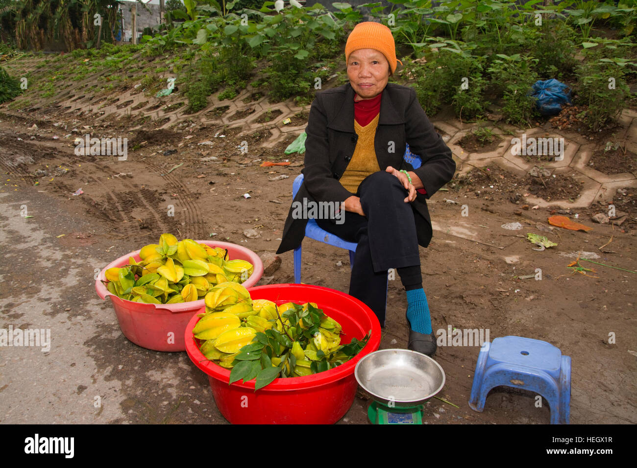 Ninh giang town hi-res stock photography and images - Alamy