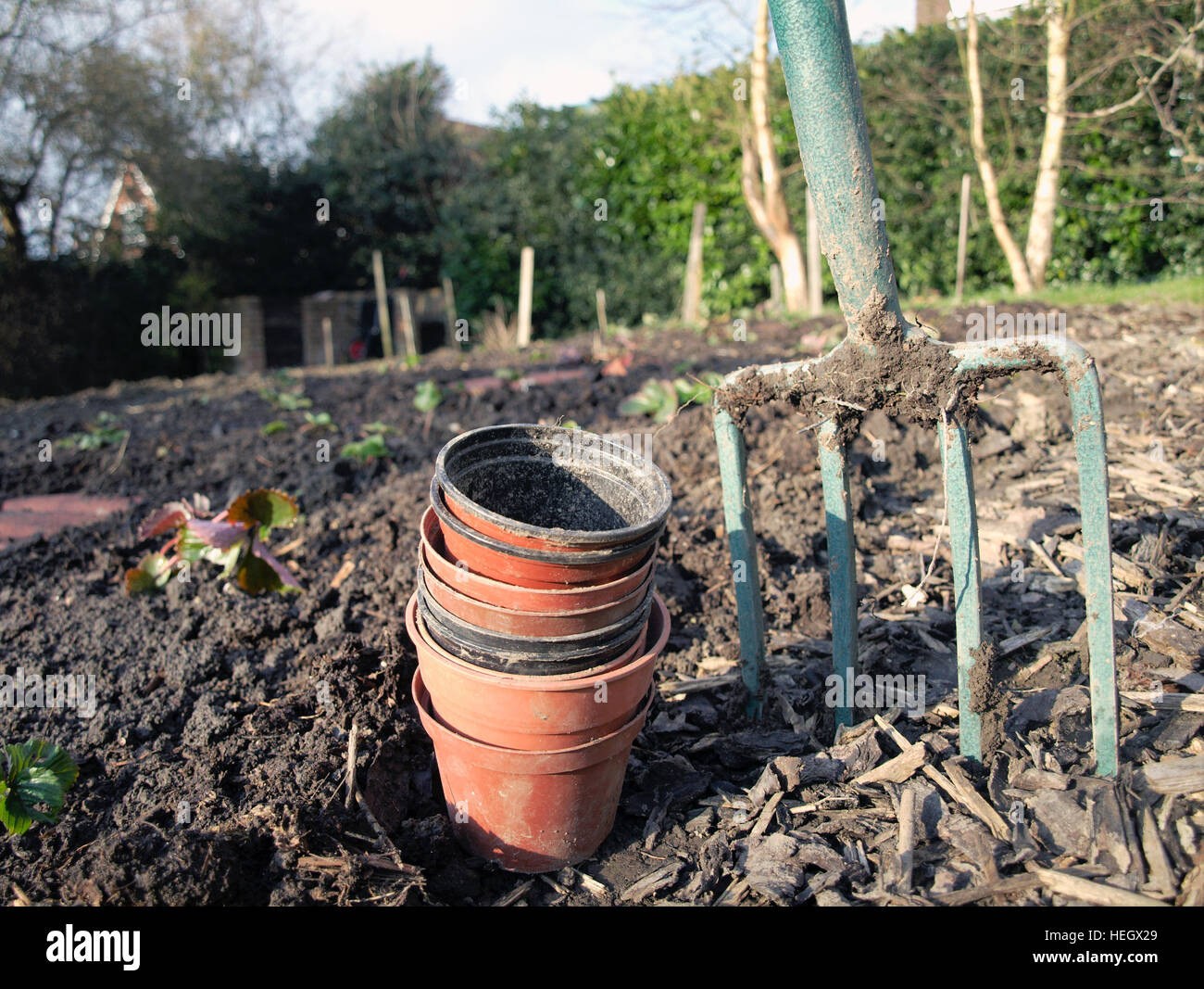 A garden fork and flower pots in a newly prepared vegetable patch Stock ...
