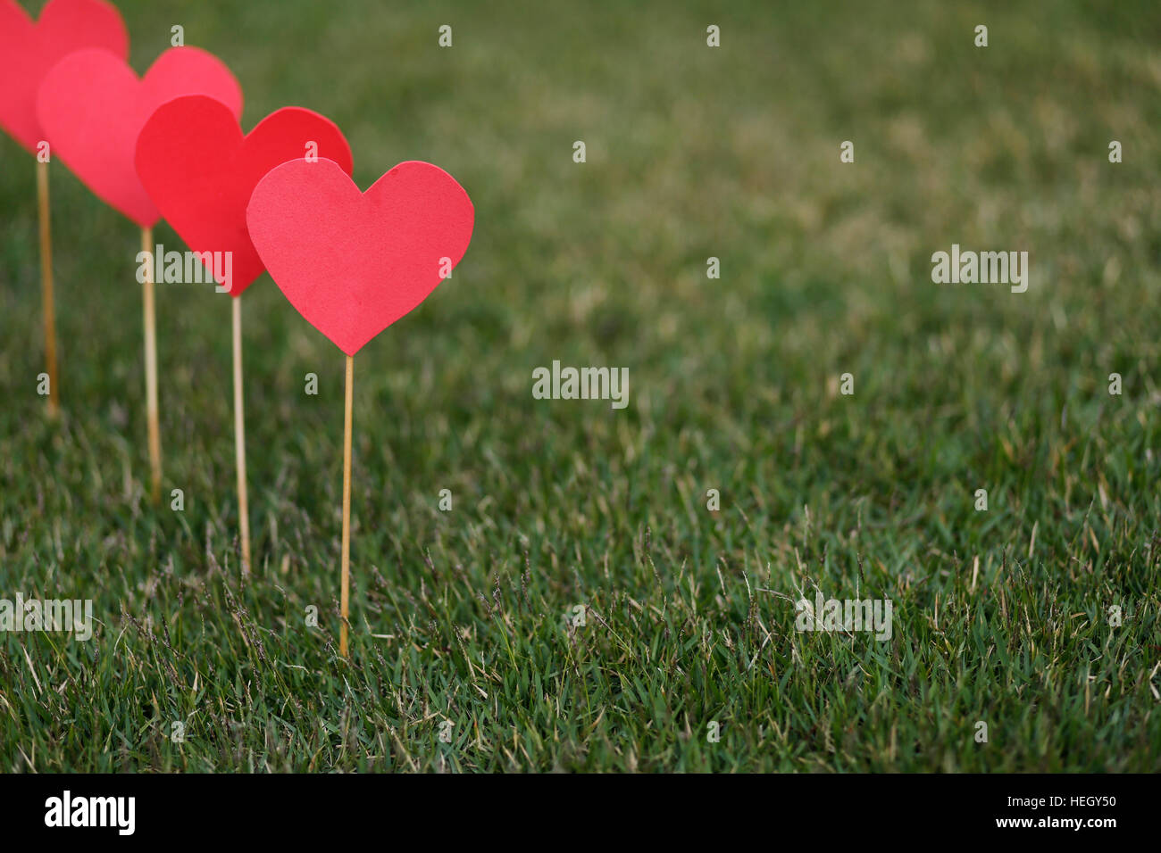 Heart shape cut out and applied with sticks on the lawn Stock Photo - Alamy