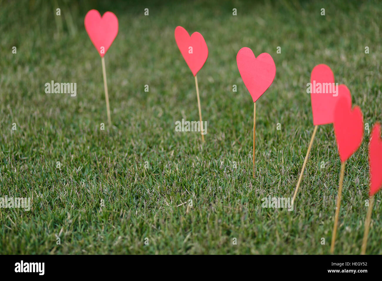 Heart shape cut out and applied with sticks on the lawn Stock Photo - Alamy