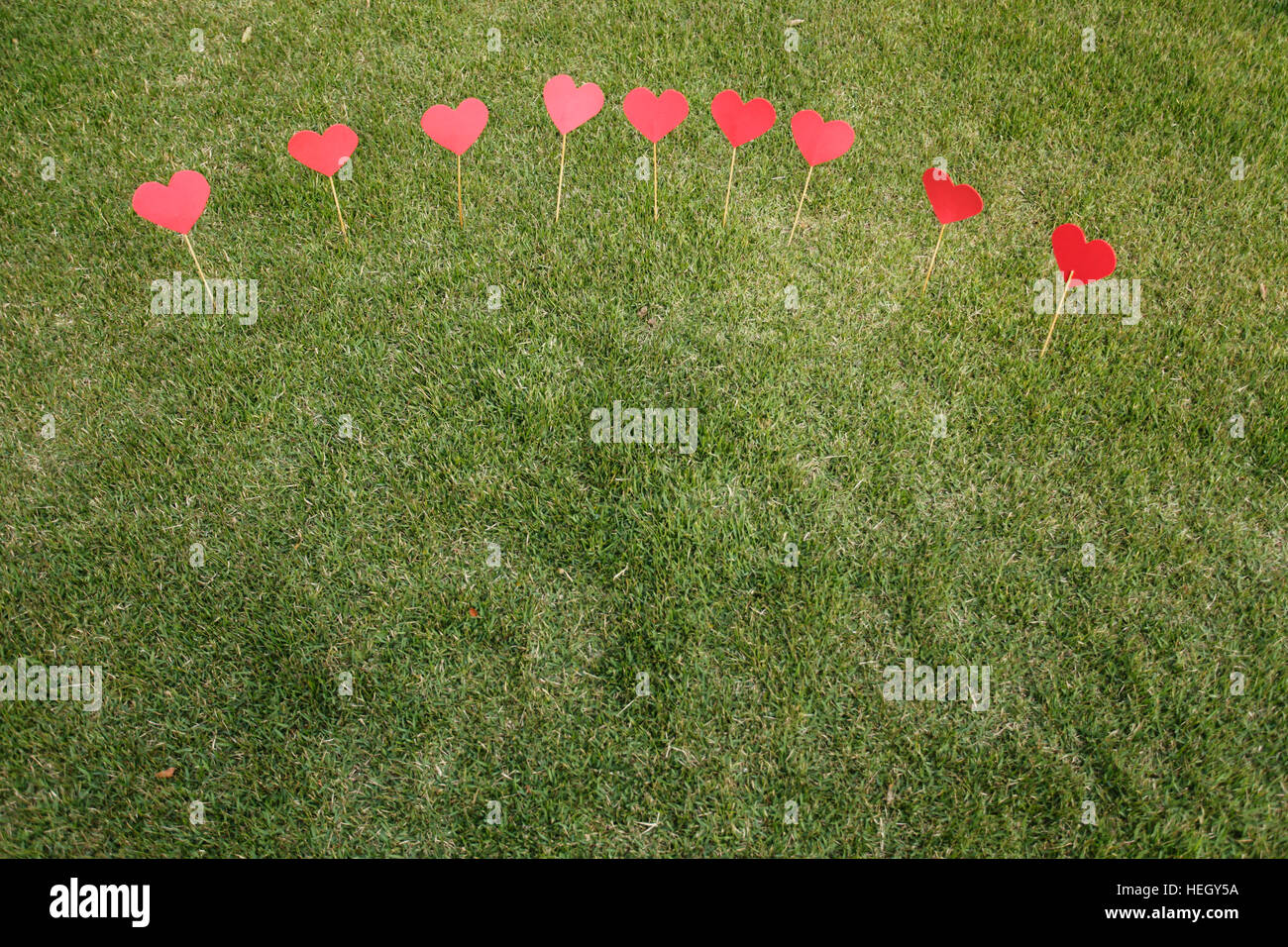 Heart shape cut out and applied with sticks on the lawn Stock Photo - Alamy