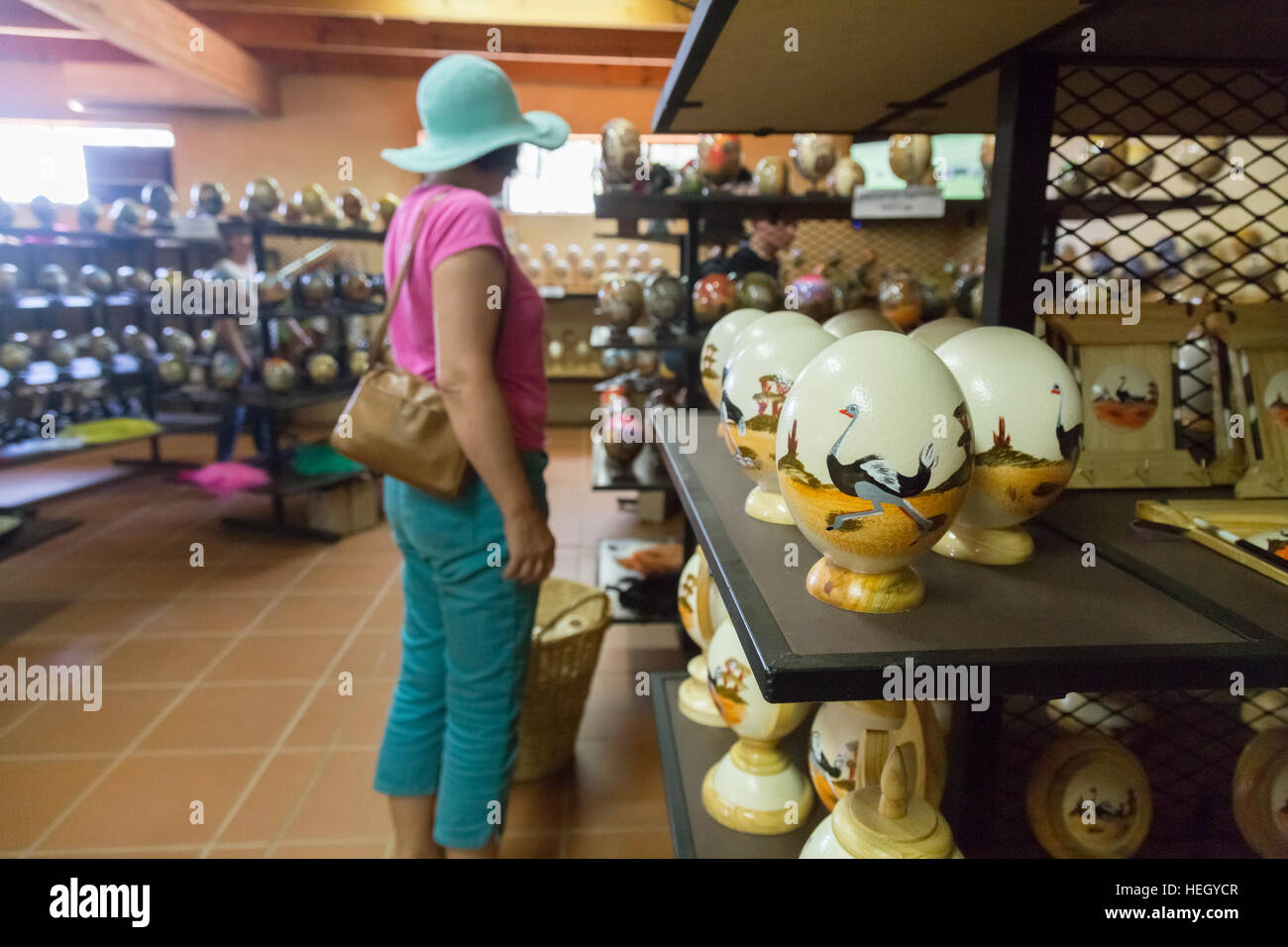 A tourist shopping for ostrich products, Highgate Ostrich Show Farm ...