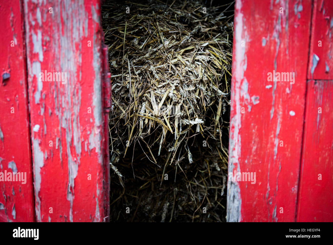 The red painted barn in Northumberland, abstract detail metalwork, with ...