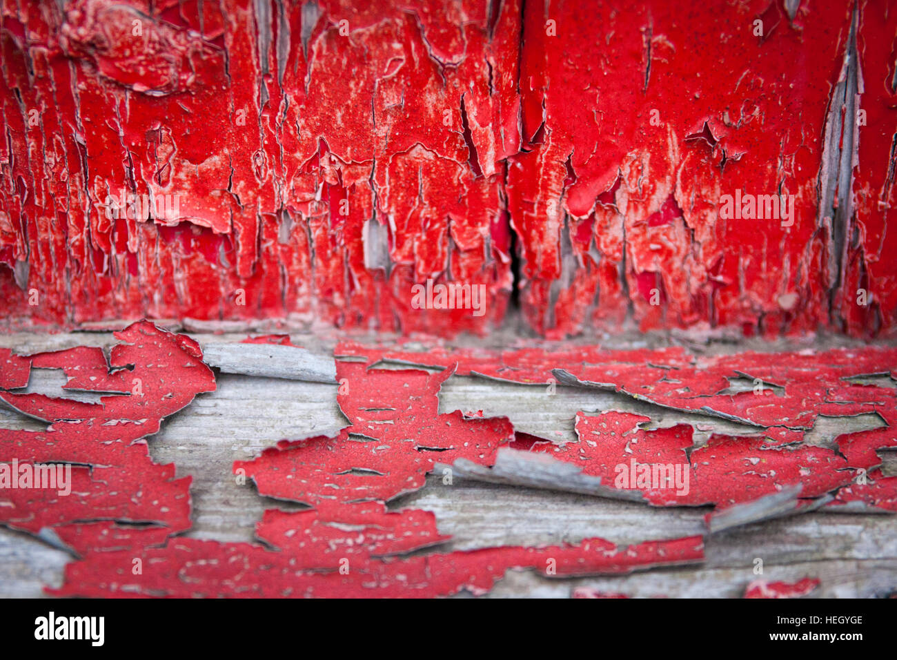 The red painted barn in Northumberland, abstract detail peeling paint ...