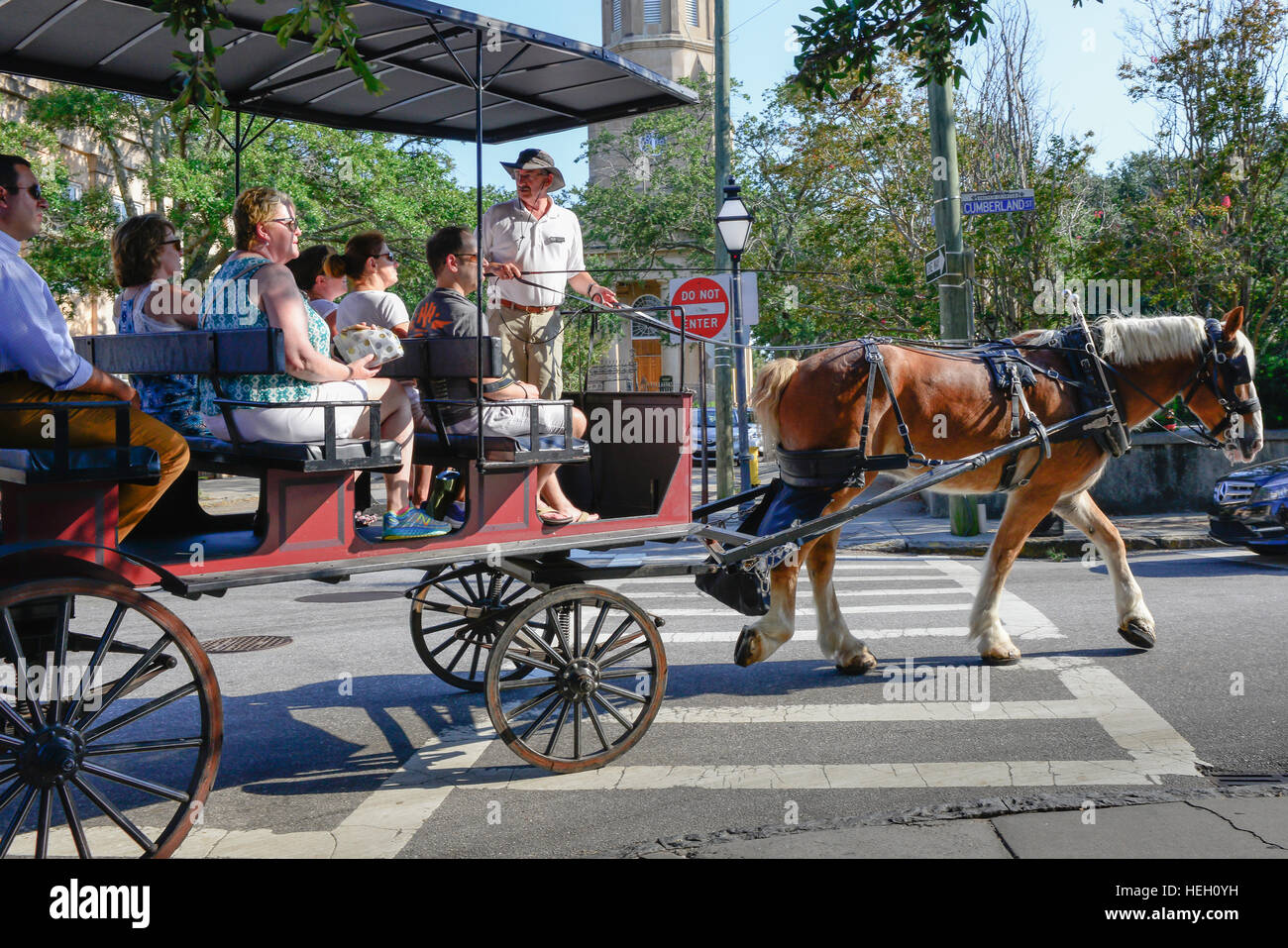 A beautiful brown horse pulls a vintage style trolley along with a tour ...