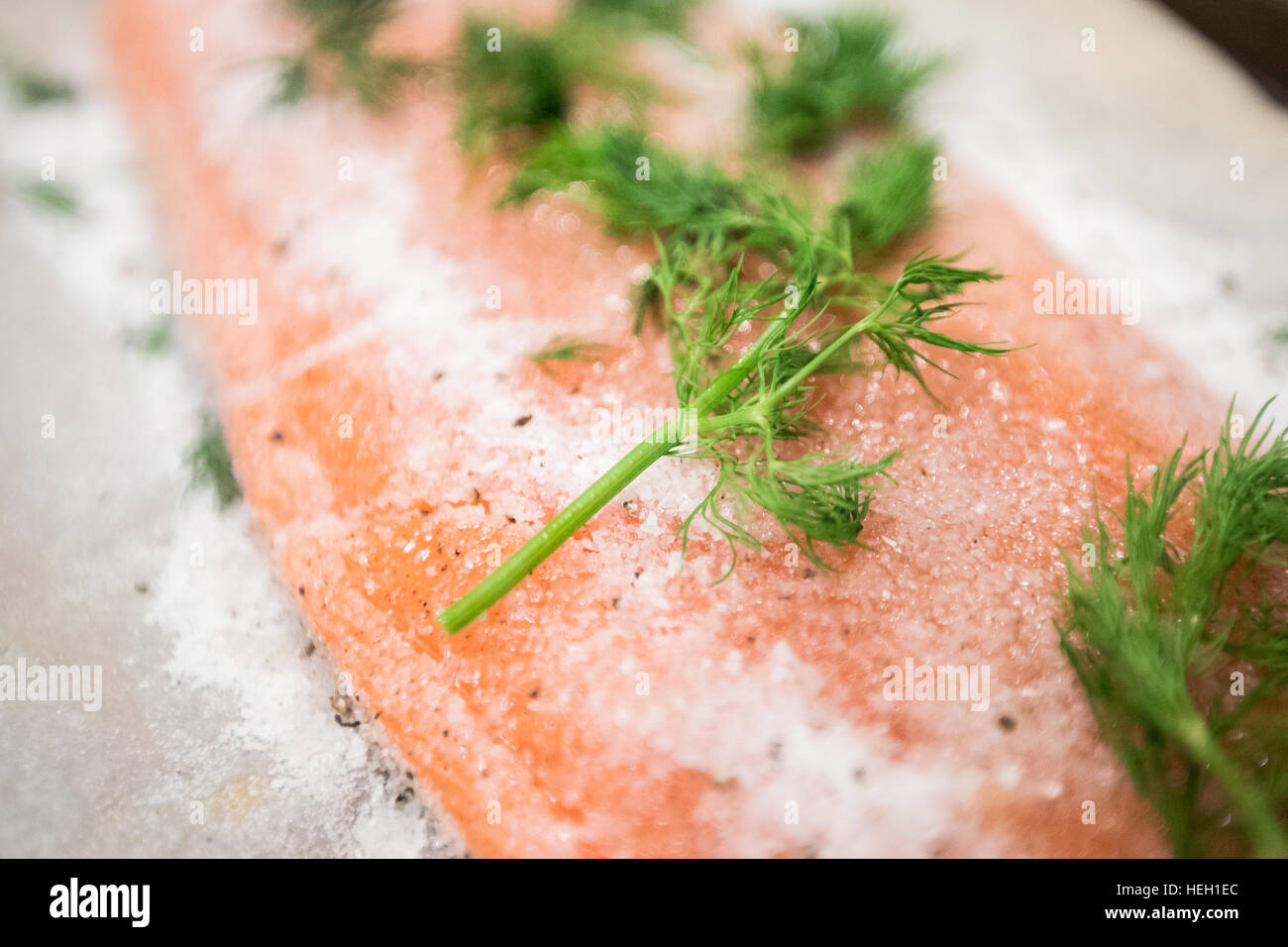 Salmon covered in sugar and salt mixture. So the salmon can be cured to ...