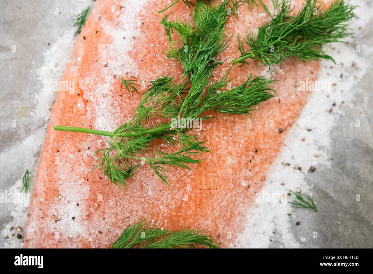 Salmon covered in sugar and salt mixture. So the salmon can be cured to ...