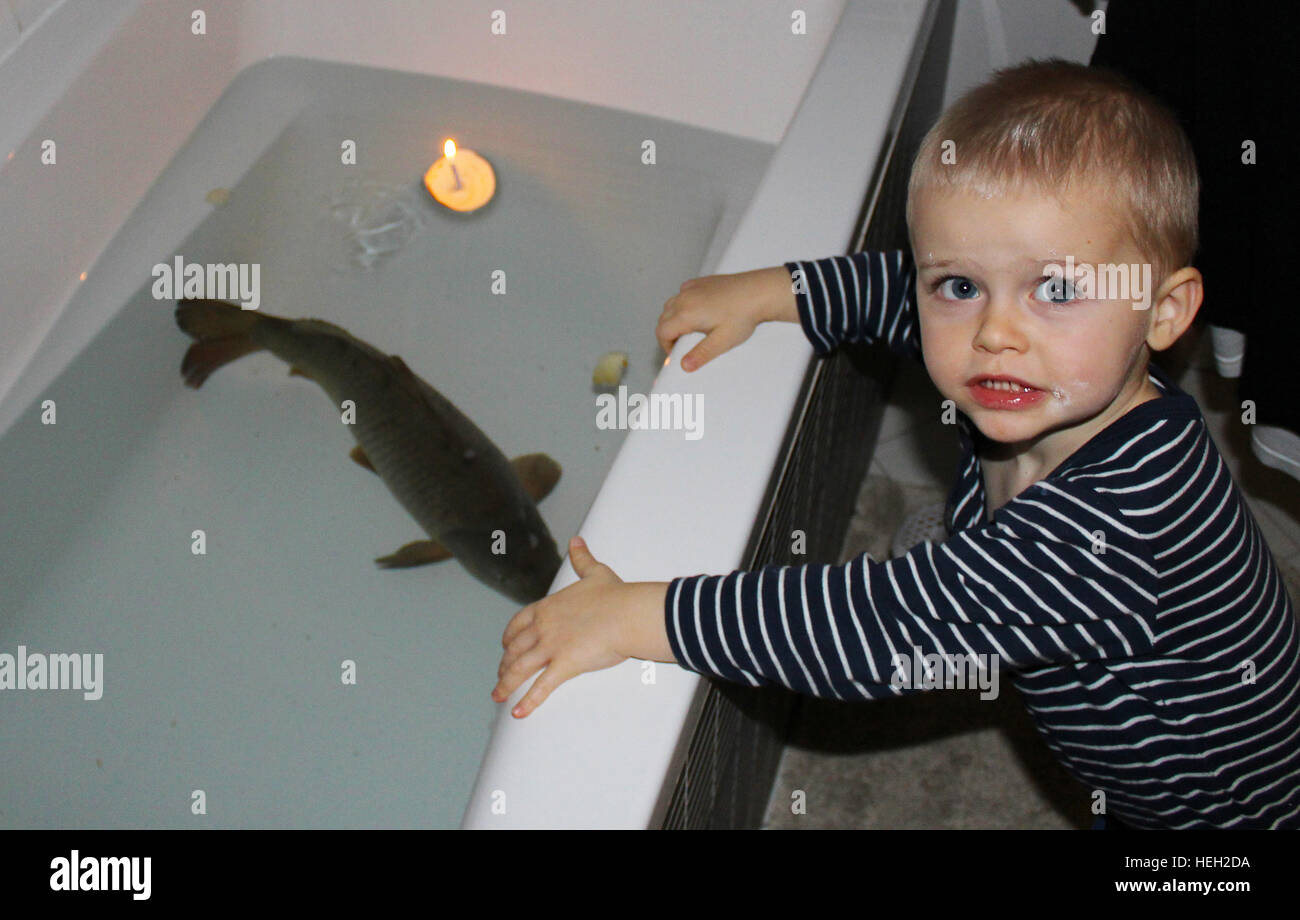 Small carp hi-res stock photography and images - Alamy