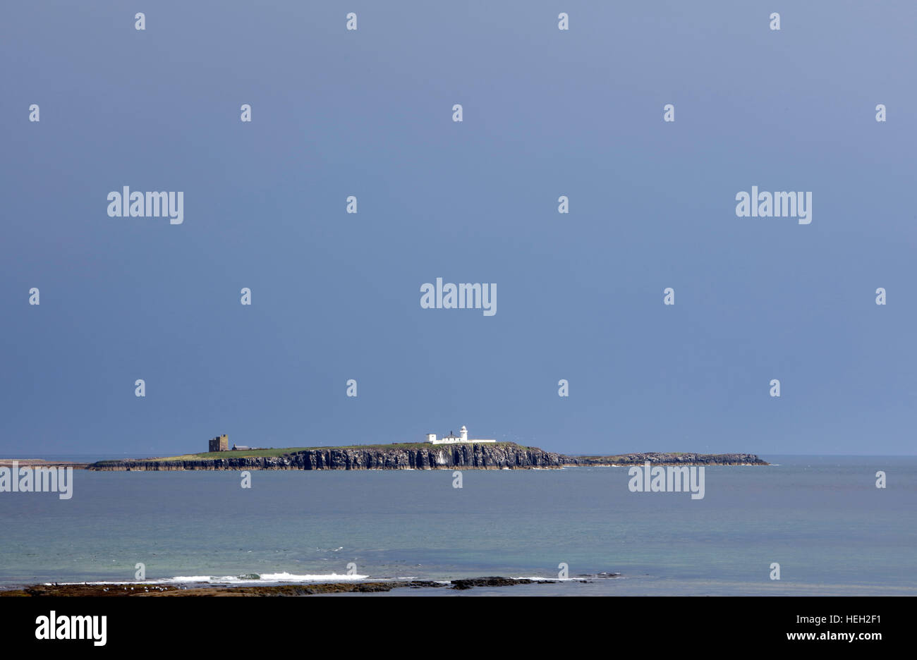 Inner Farne, Farne Islands, Northumberland, England, UK Stock Photo - Alamy