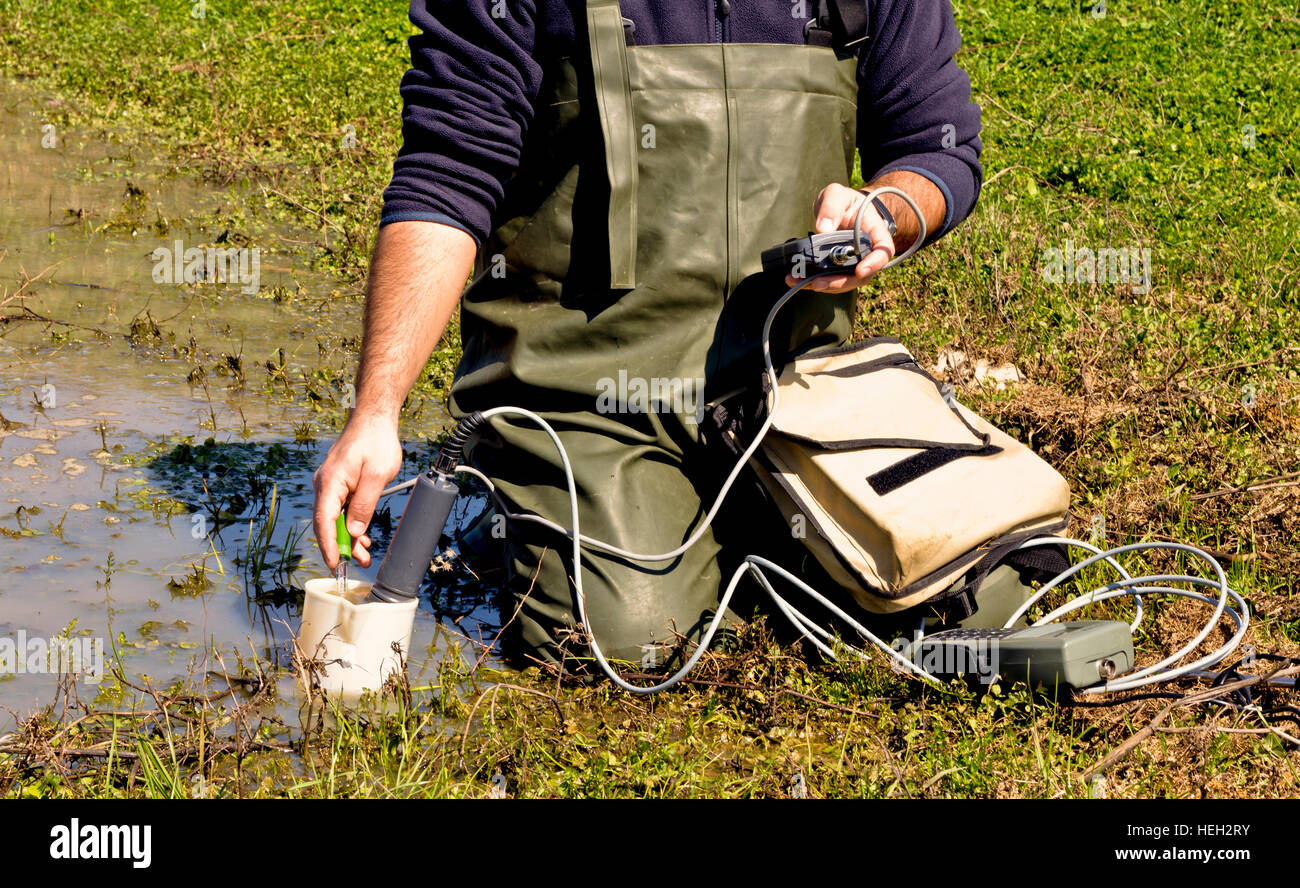 A scientist measuring environmental water quality in a wetland Stock ...