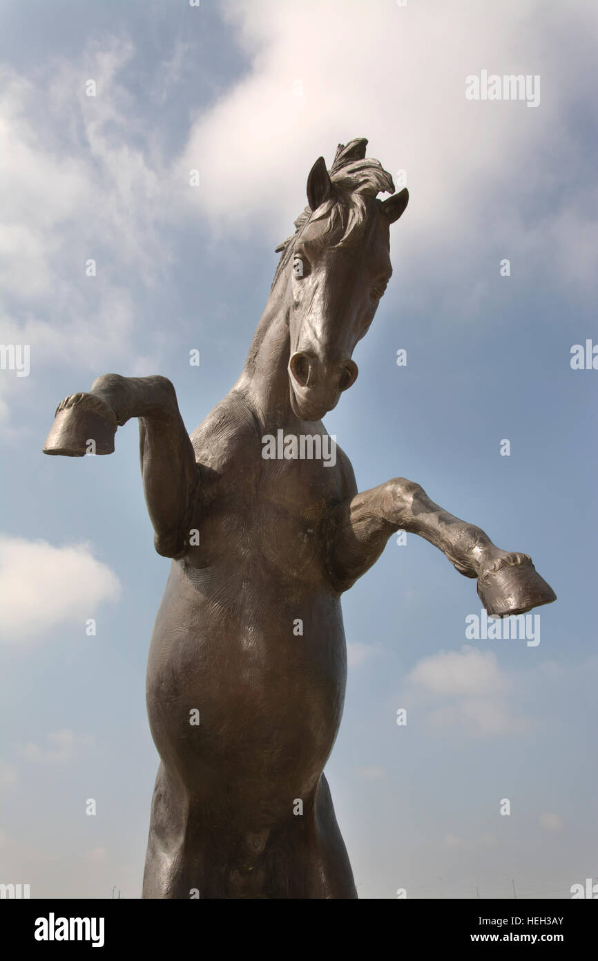 United States of America, USA, Colorado, CO, Denver, Mile High, Denver ...