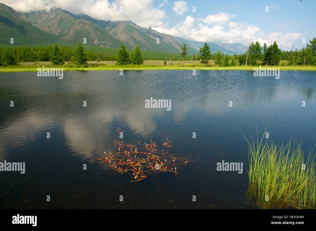Baikal landscape with green spring forest, Russia. Siberia Stock Photo ...