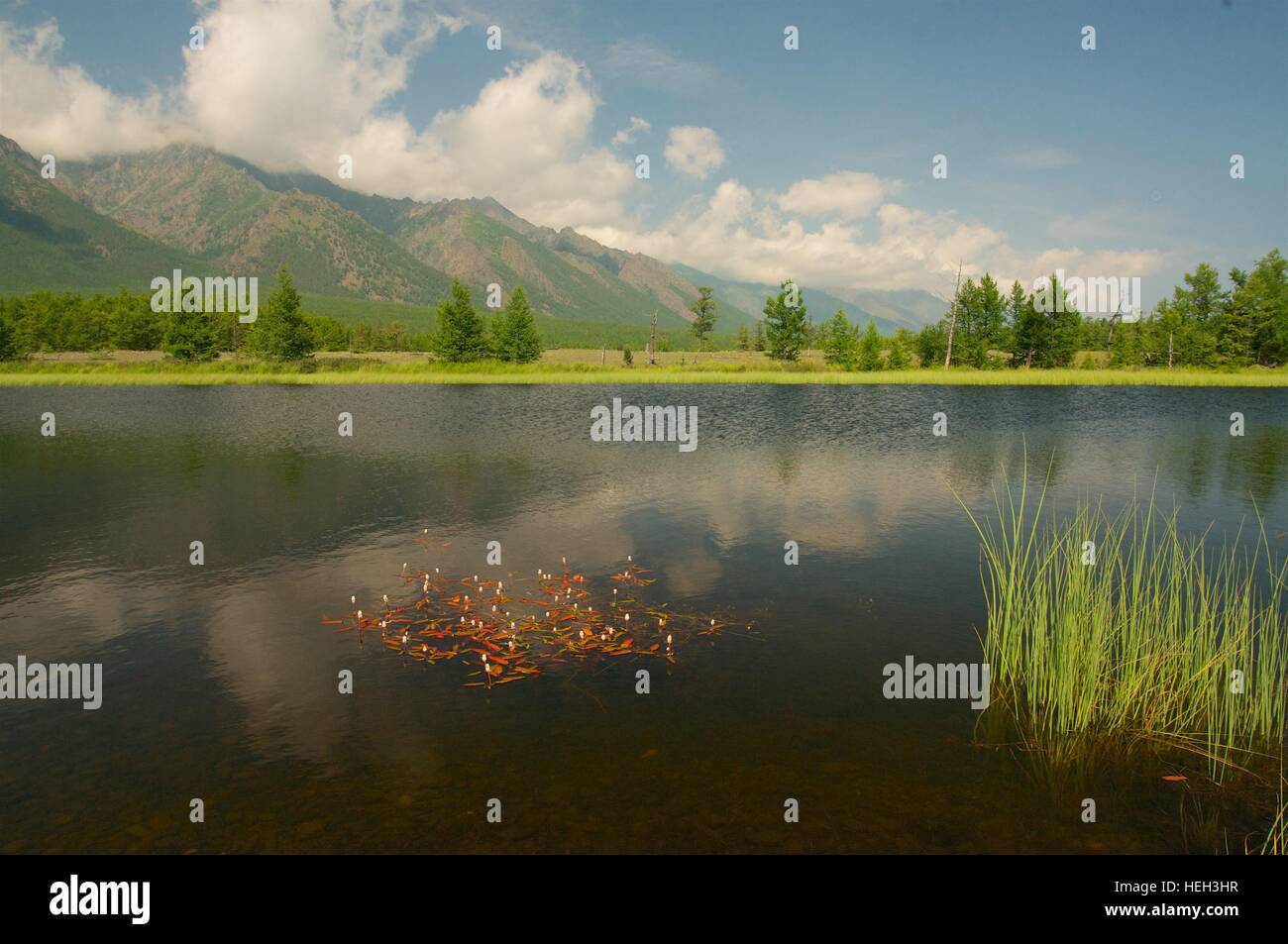 Baikal landscape with green spring forest, Russia. Siberia Stock Photo ...