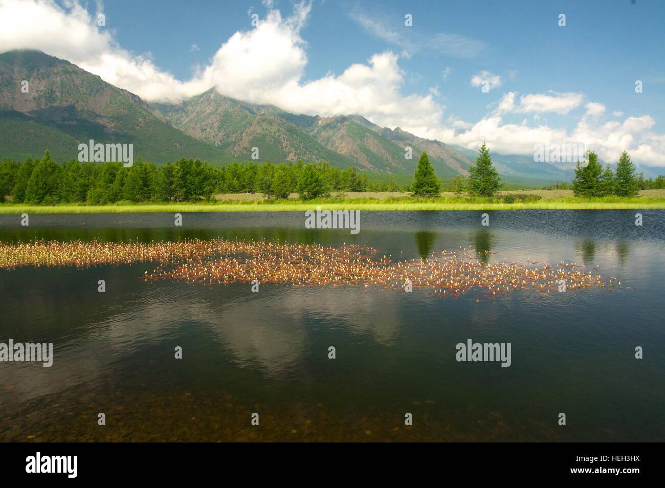 Baikal landscape with green spring forest, Russia. Siberia Stock Photo ...