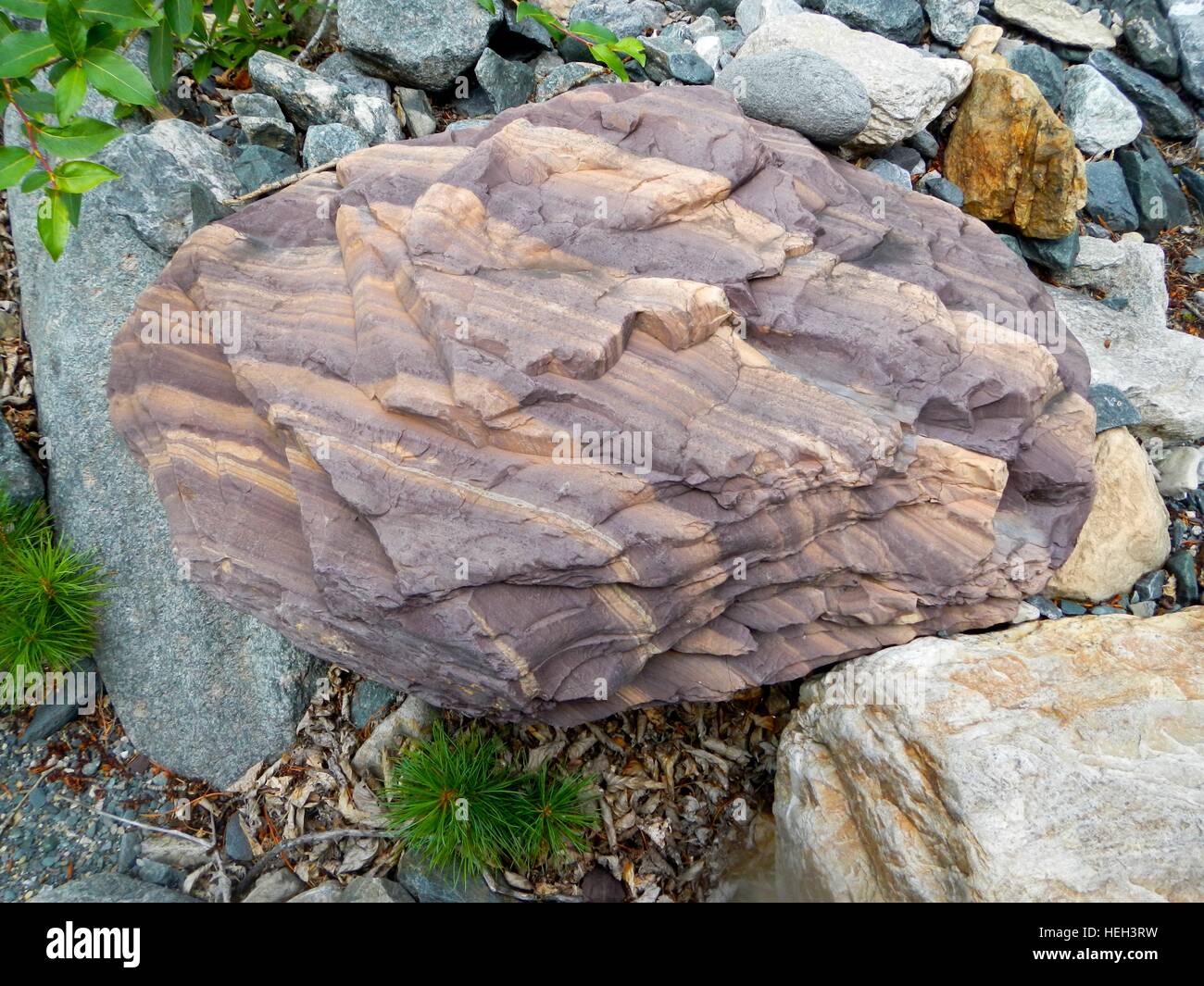 Large cobblestones hi-res stock photography and images - Alamy