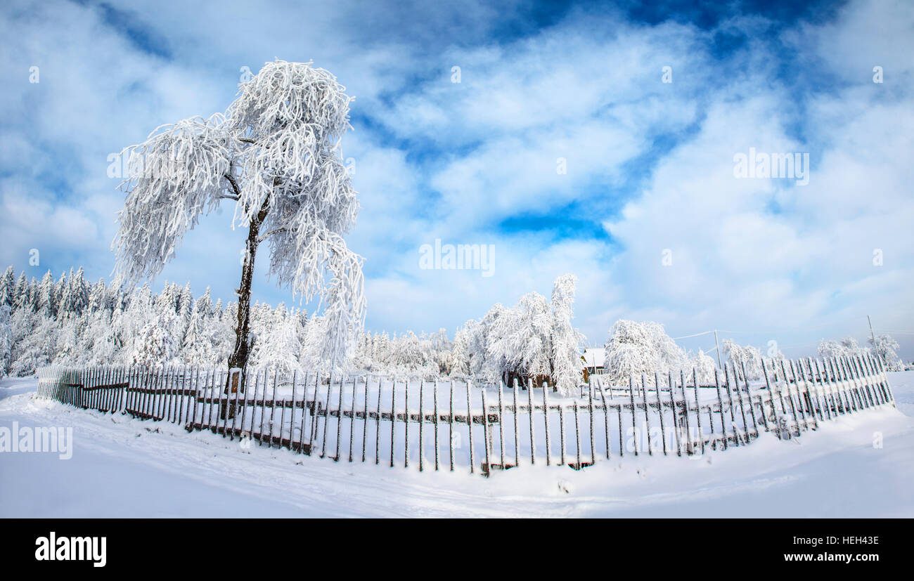 Winter landscape with snow in mountains Carpathians, Ukraine Stock ...