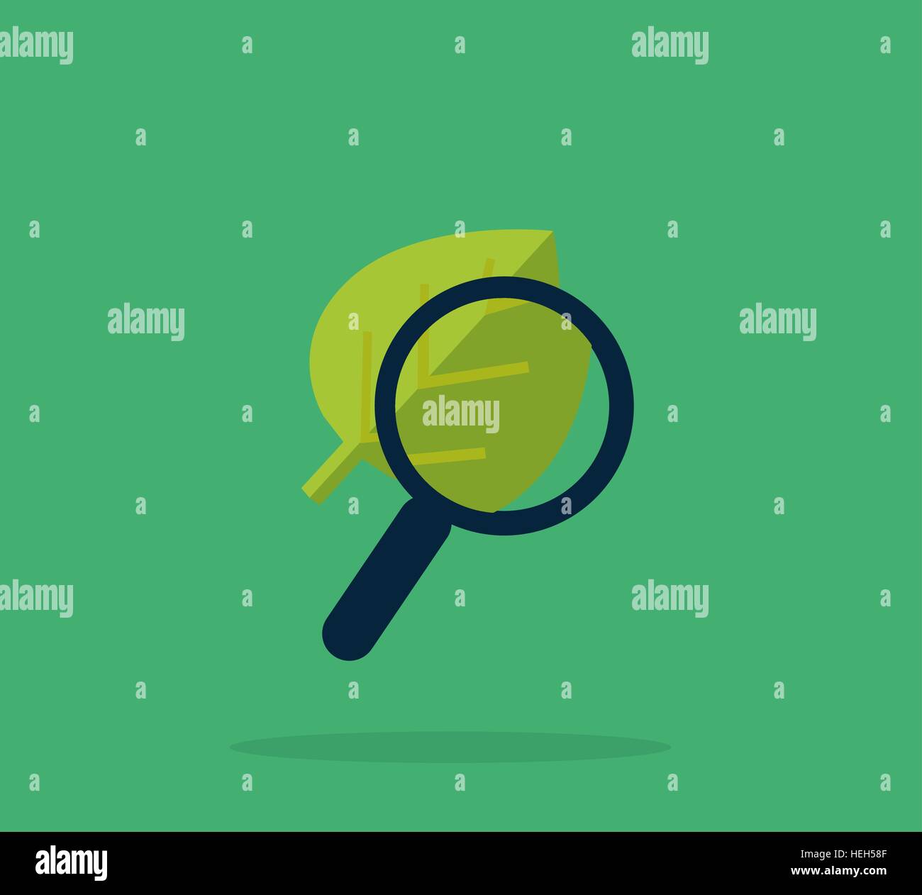 Magnifying glass and leaf, education concept. Scientific biology, study ...