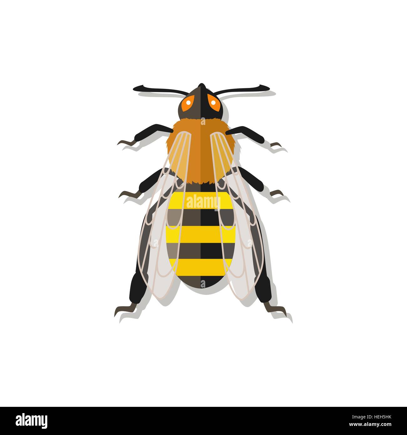 Vector Bee Icon. Vector honey bee queen cartoon. Isolated bee on white ...