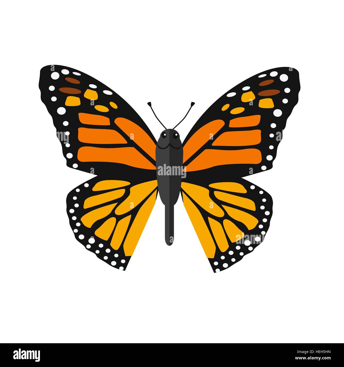 Insects Butterflies Isolated on White Background. Insects butterflies ...