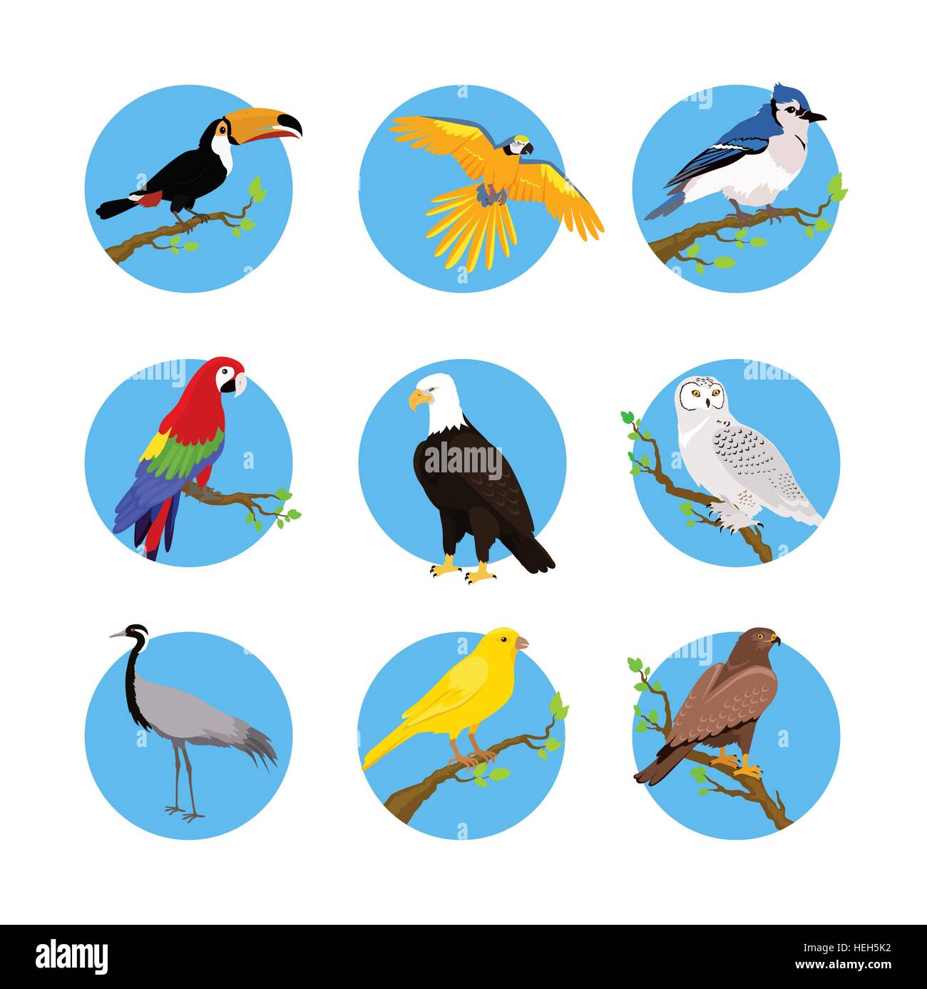Collection of various birds flat design. Birds flying, owl and animals ...