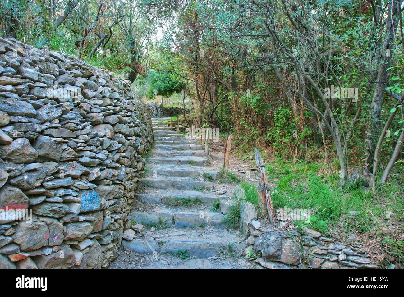 Hiking trail in the Cinque Terre national park Stock Photo - Alamy