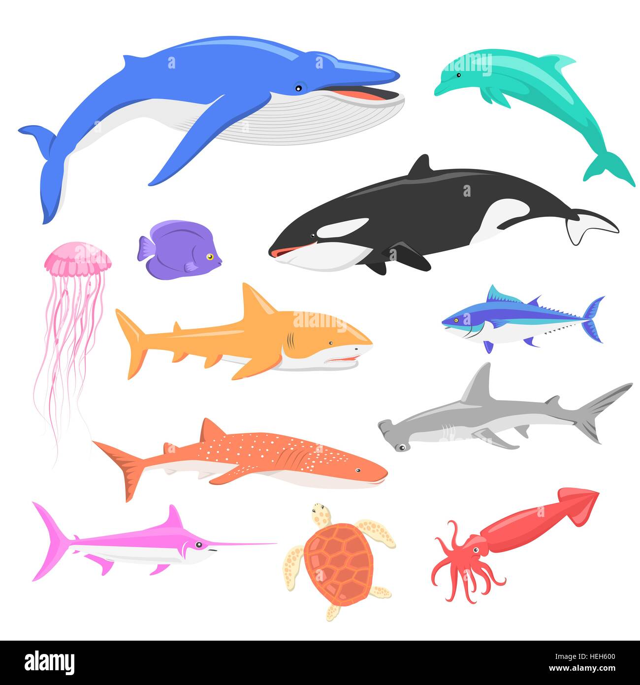 Marine fauna set of aquatic animals. Aquatic fauna, ocean or sea fish ...