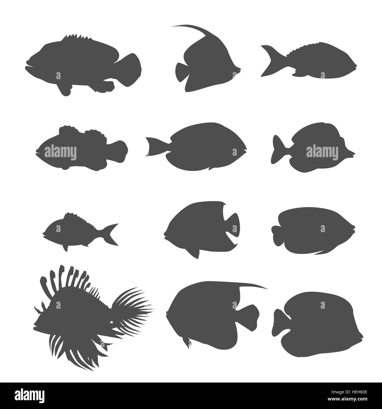 Set of sea fish color design flat. Ocean fish animal, nature cartoon ...