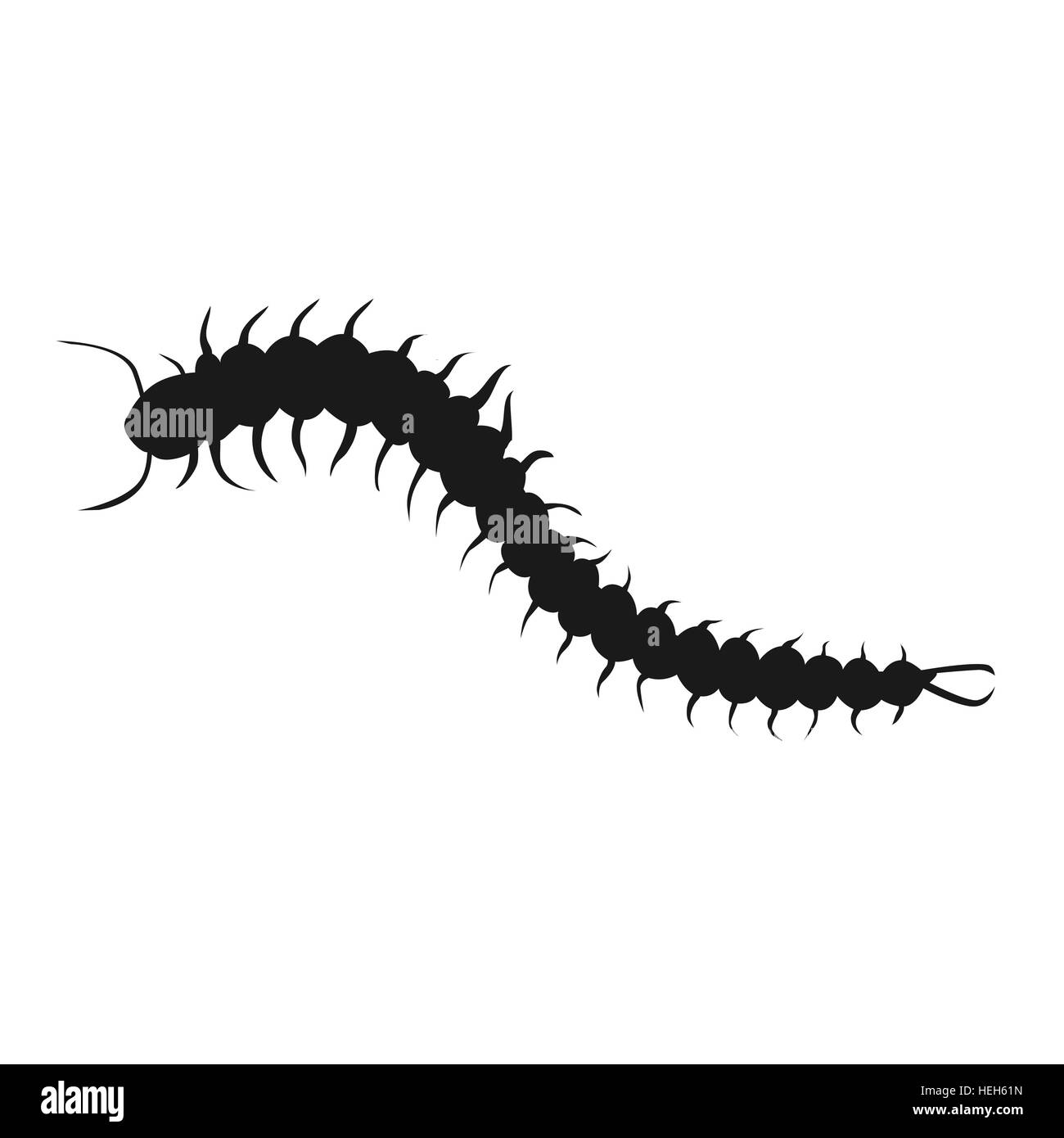 Invertebrate being Black and White Stock Photos & Images - Alamy