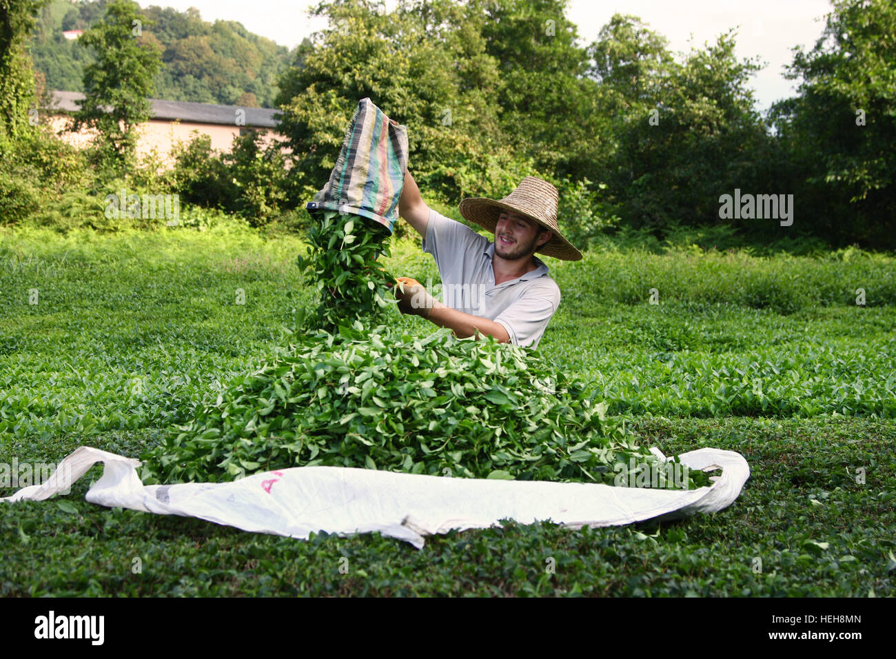 Important worker hi-res stock photography and images - Alamy