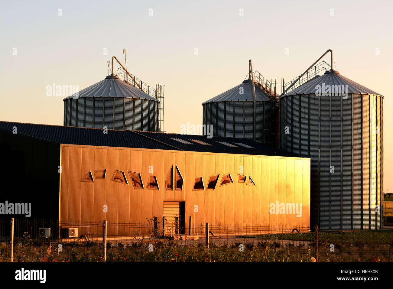 Warehouse silo in Modern farming Stock Photo - Alamy