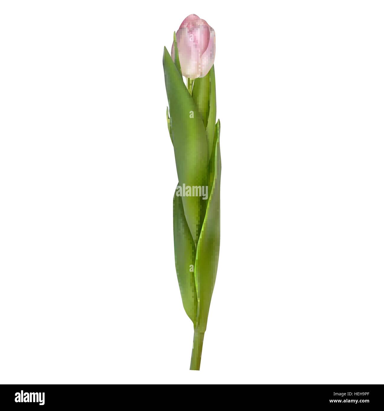 Pink floral decoration Cut Out Stock Images & Pictures - Alamy