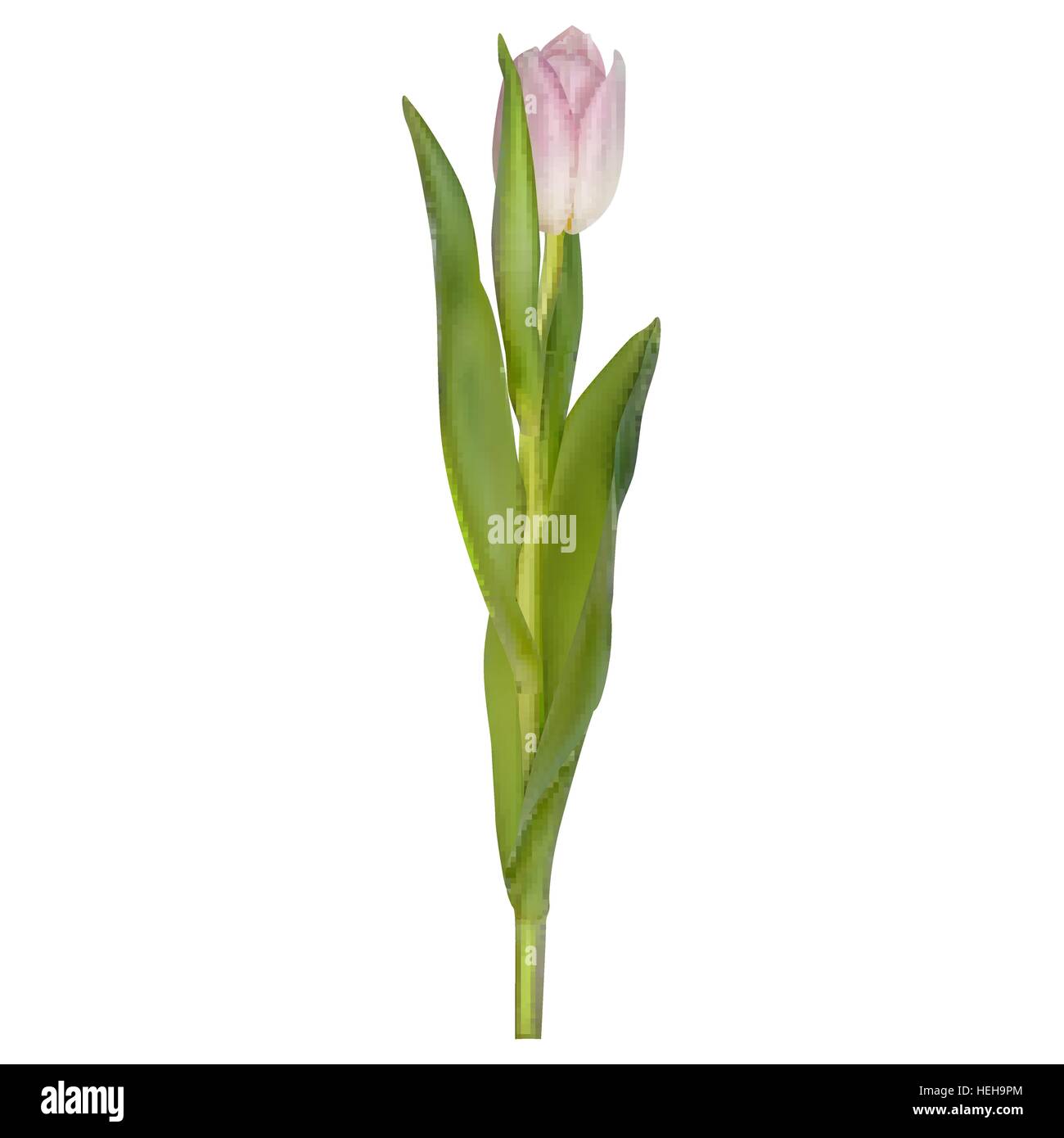 Beautiful bright bud pink Stock Vector Images - Alamy