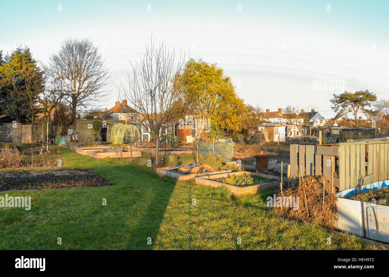 Allotments are small plots of land which are rented and then cultivated ...