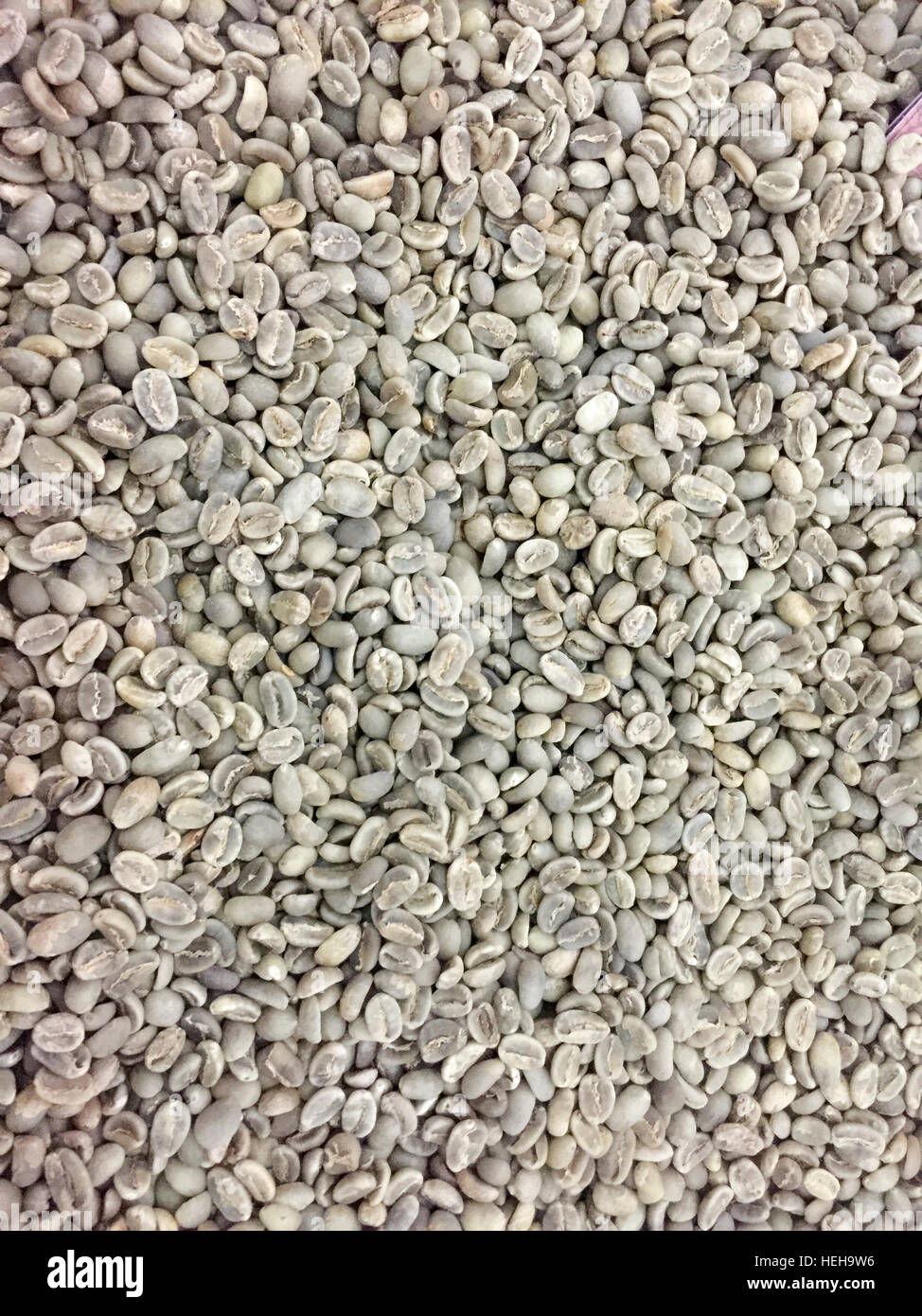 Variety of coffee and coffee seeds Stock Photo - Alamy