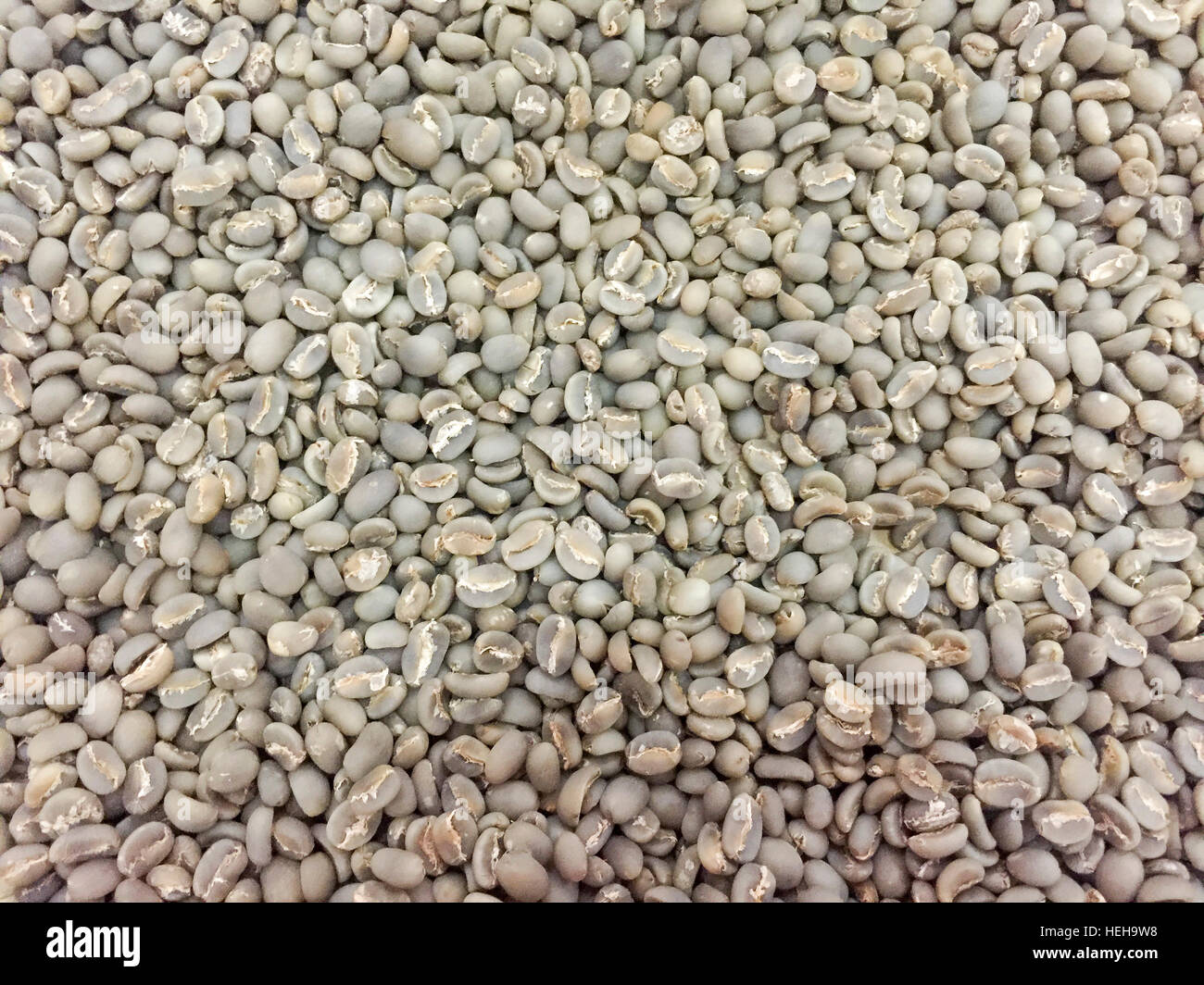 Variety of coffee and coffee seeds Stock Photo - Alamy