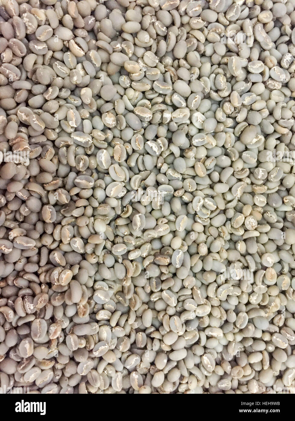 Variety of coffee and coffee seeds Stock Photo - Alamy
