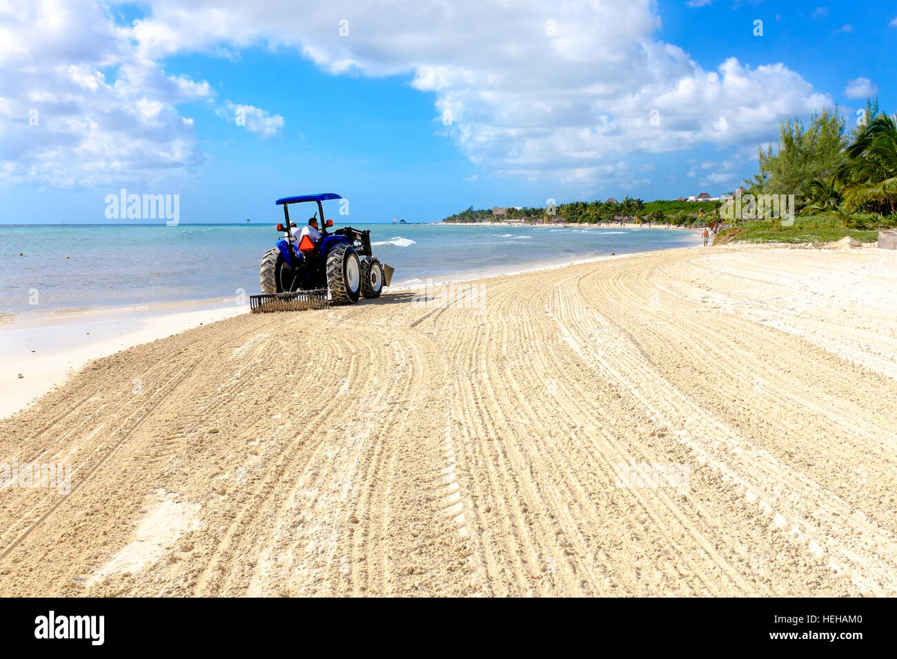 Tractor raking a beach at Playa Del Carmen, near Cancun, Mexico to ...